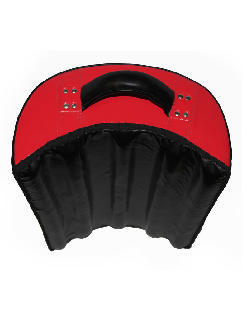 MMA Leg Kick Pad | Aries MMA Gear